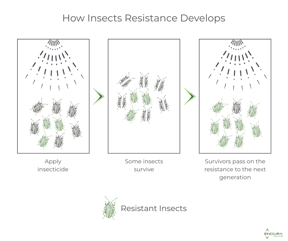 Endura Expert Series Insecticide-Resistant Insects